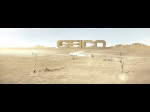 GEICO: Go Get Help, Cat - DAILY COMMERCIALS