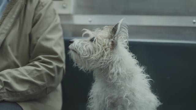 State Farm: The Following - DAILY COMMERCIALS