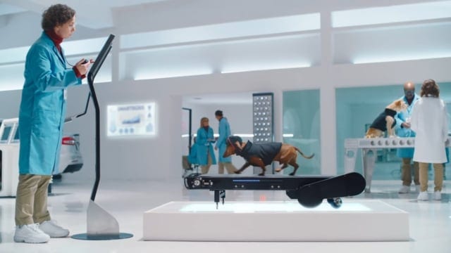 GEICO: Introducing Smartdogs - DAILY COMMERCIALS