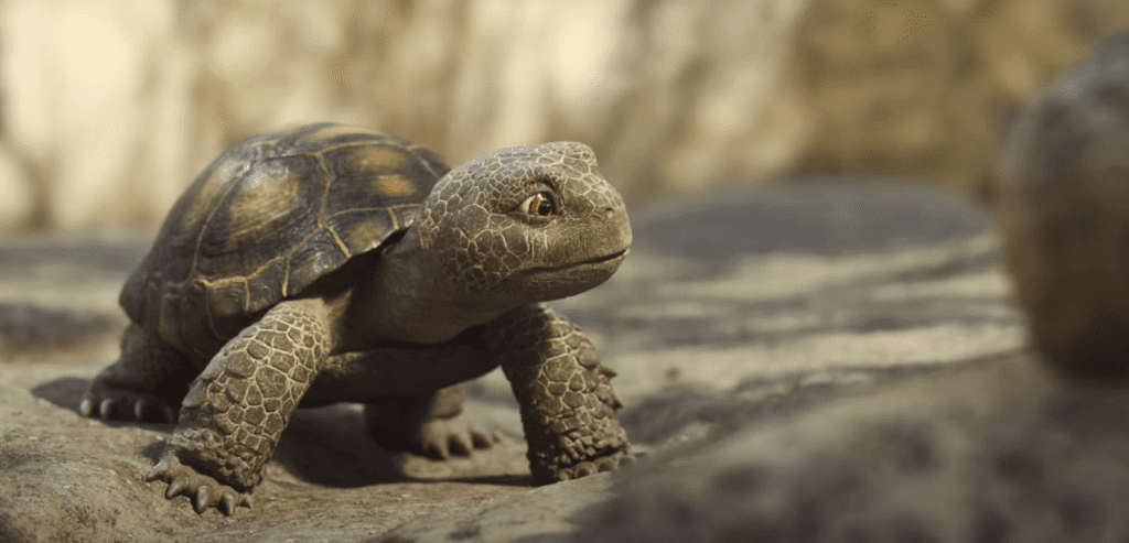 GEICO: The Gecko Meets Rocky & Bullwinkle - DAILY COMMERCIALS