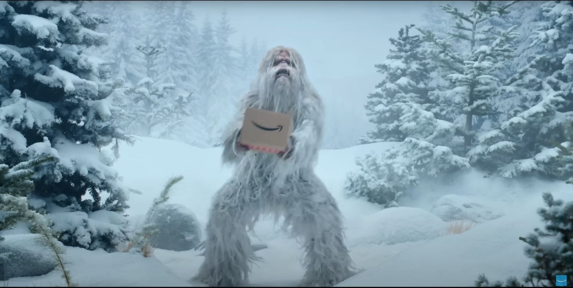Amazon Black Friday 2022 ads - Lonely Yeti