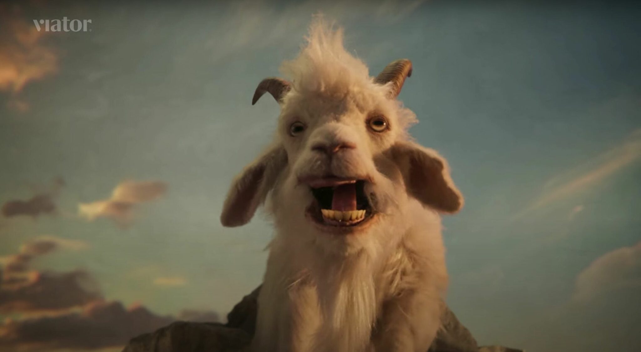 Don’t Miss the Hysterical Goat in Viator’s New Travel Ad - DAILY COMMERCIALS
