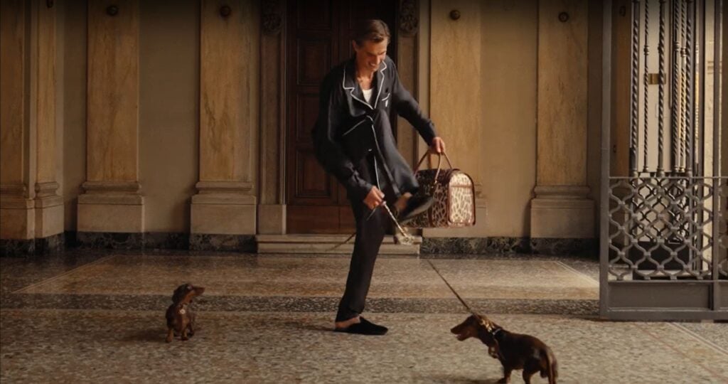 Dolce & Gabbana's Posh Pet Collection Is Cute - DAILY COMMERCIALS