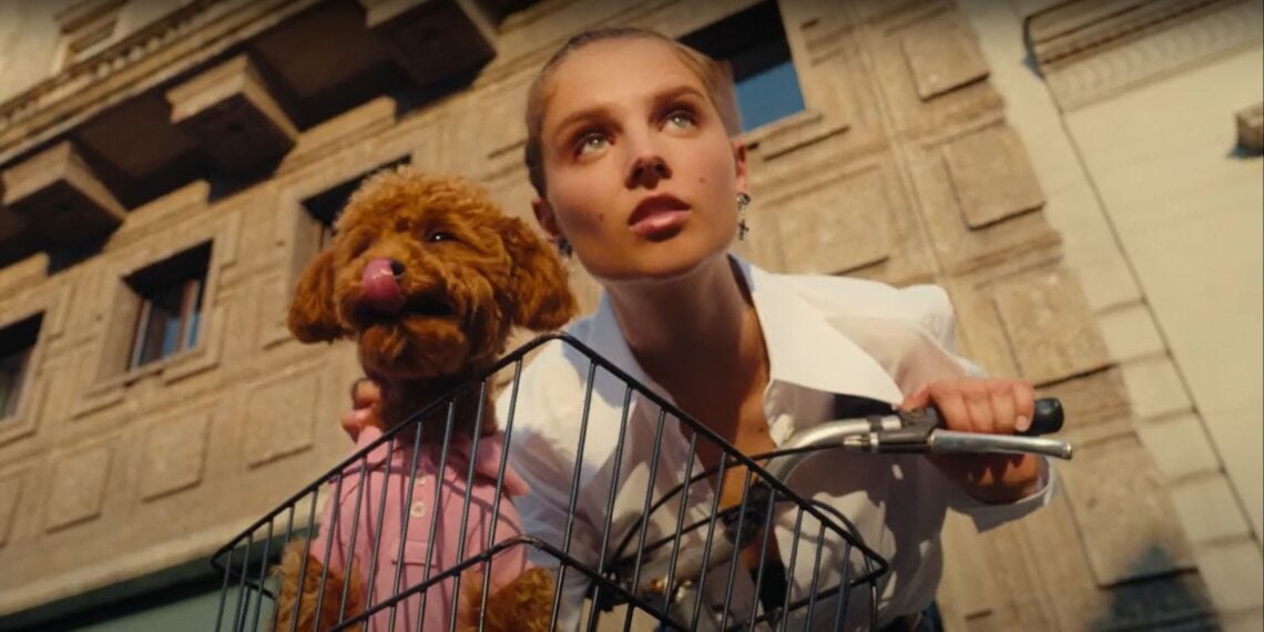 Dolce & Gabbana ad 2024 - DAILY COMMERCIALS